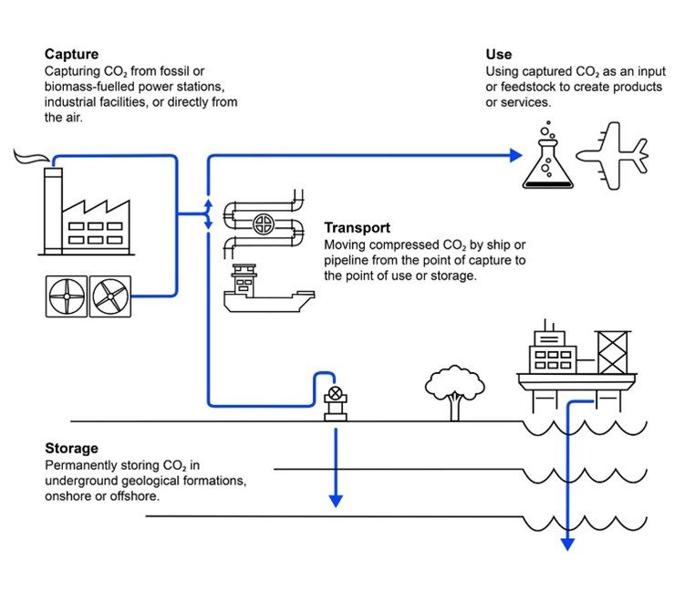 What Is CarbonTech? A Detailed Overview - Storm4